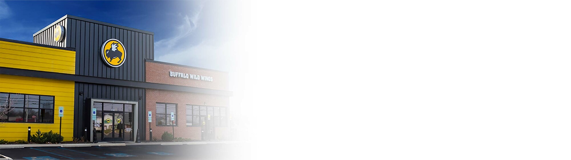 About Lancaster Wings, Inc. - Lancaster Wings